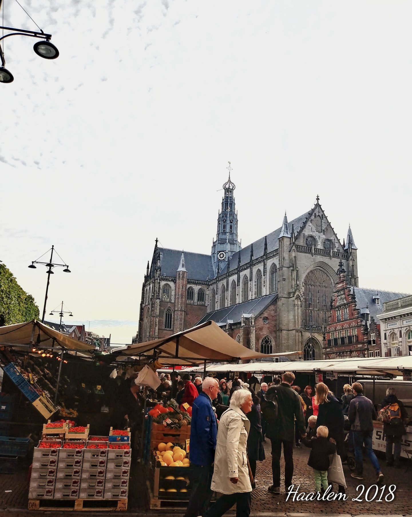 Haarlem: How to Experience 10 Things in 4 hours in the City of Culture ...