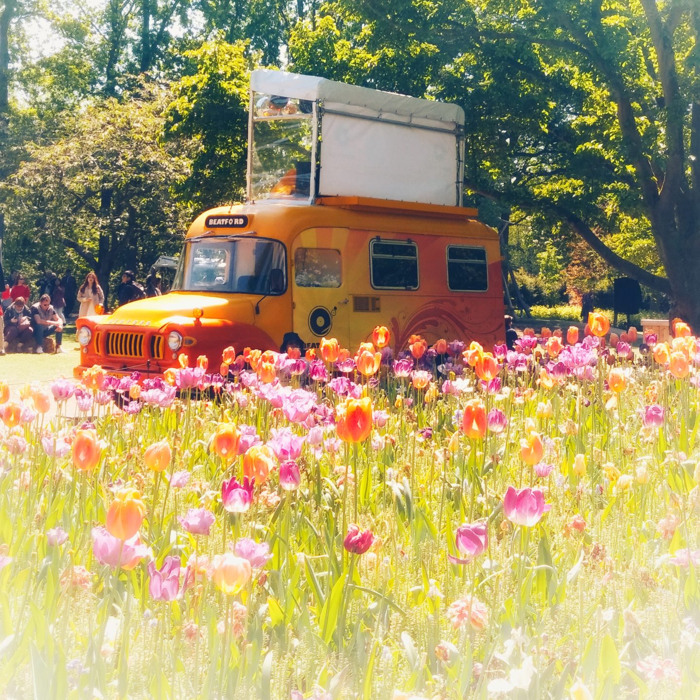 How To Spend An Eco-Friendly & Sustainable Weekend In Amsterdam ...